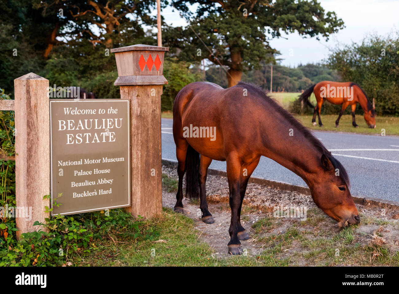 Beaulieu Estate High Resolution Stock Photography and Images - Alamy