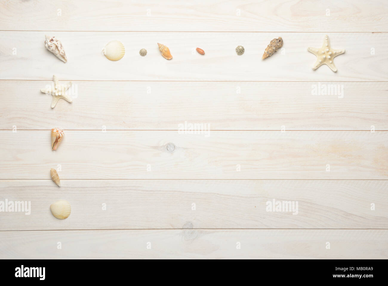 Framework of shells hi-res stock photography and images - Alamy