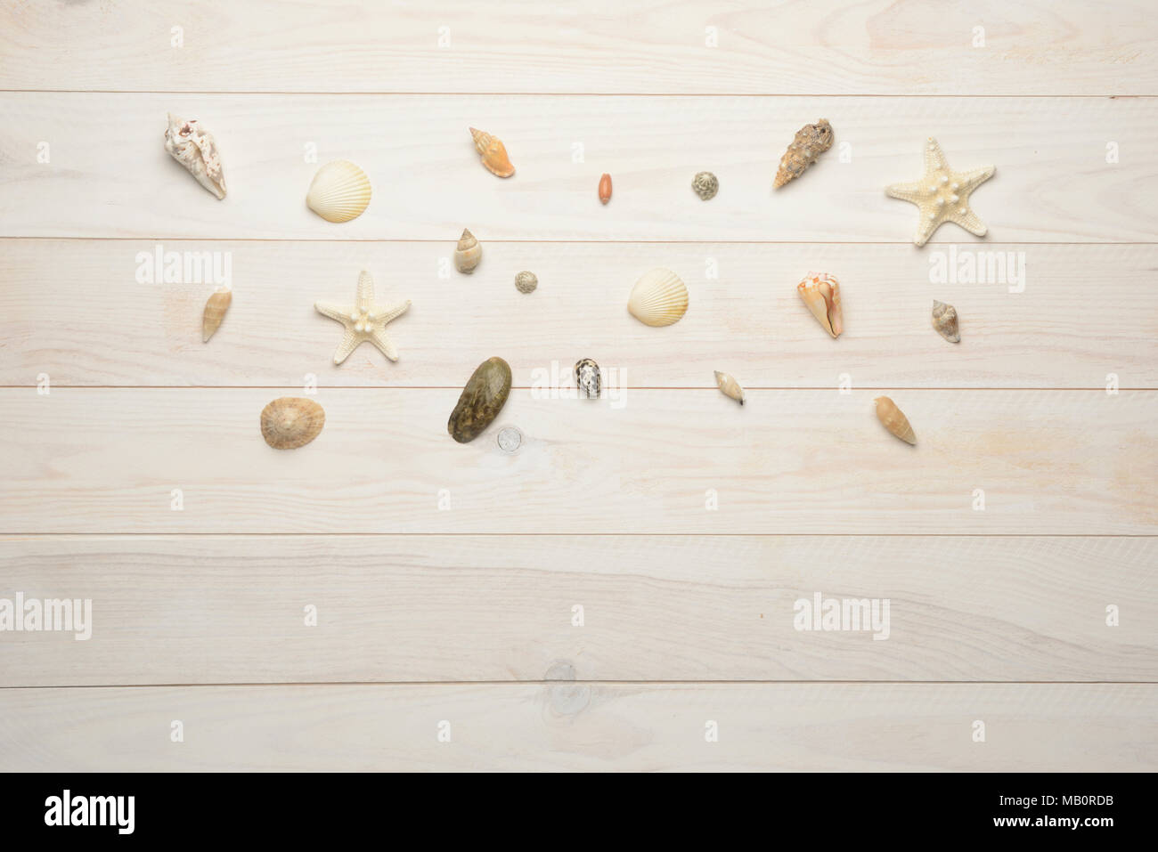 Framework of shells hi-res stock photography and images - Alamy