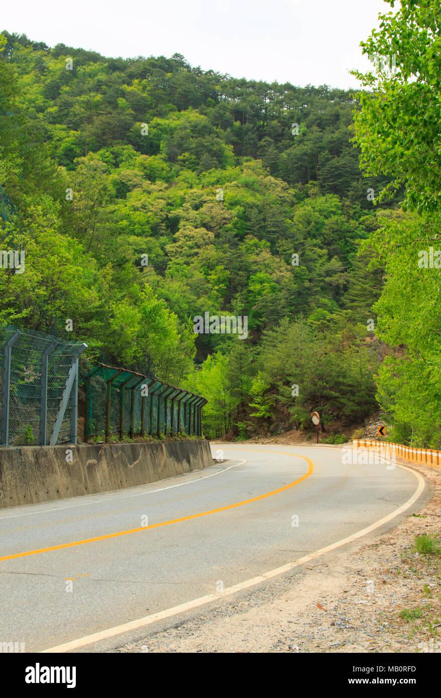 mountain curve road with trees Stock Photo - Alamy