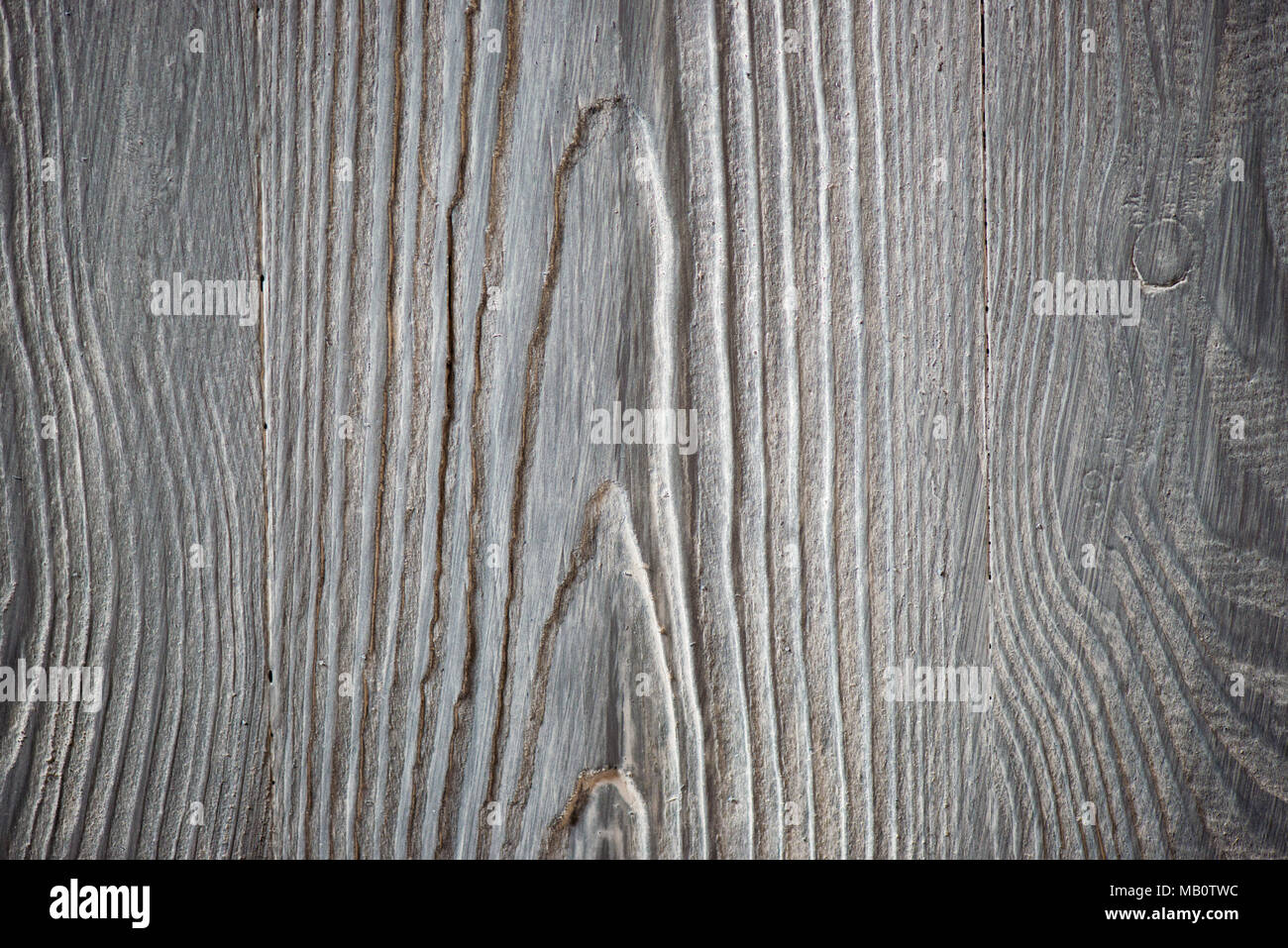 Wood texture. Gray timber board with weathered crack lines. Natural ...