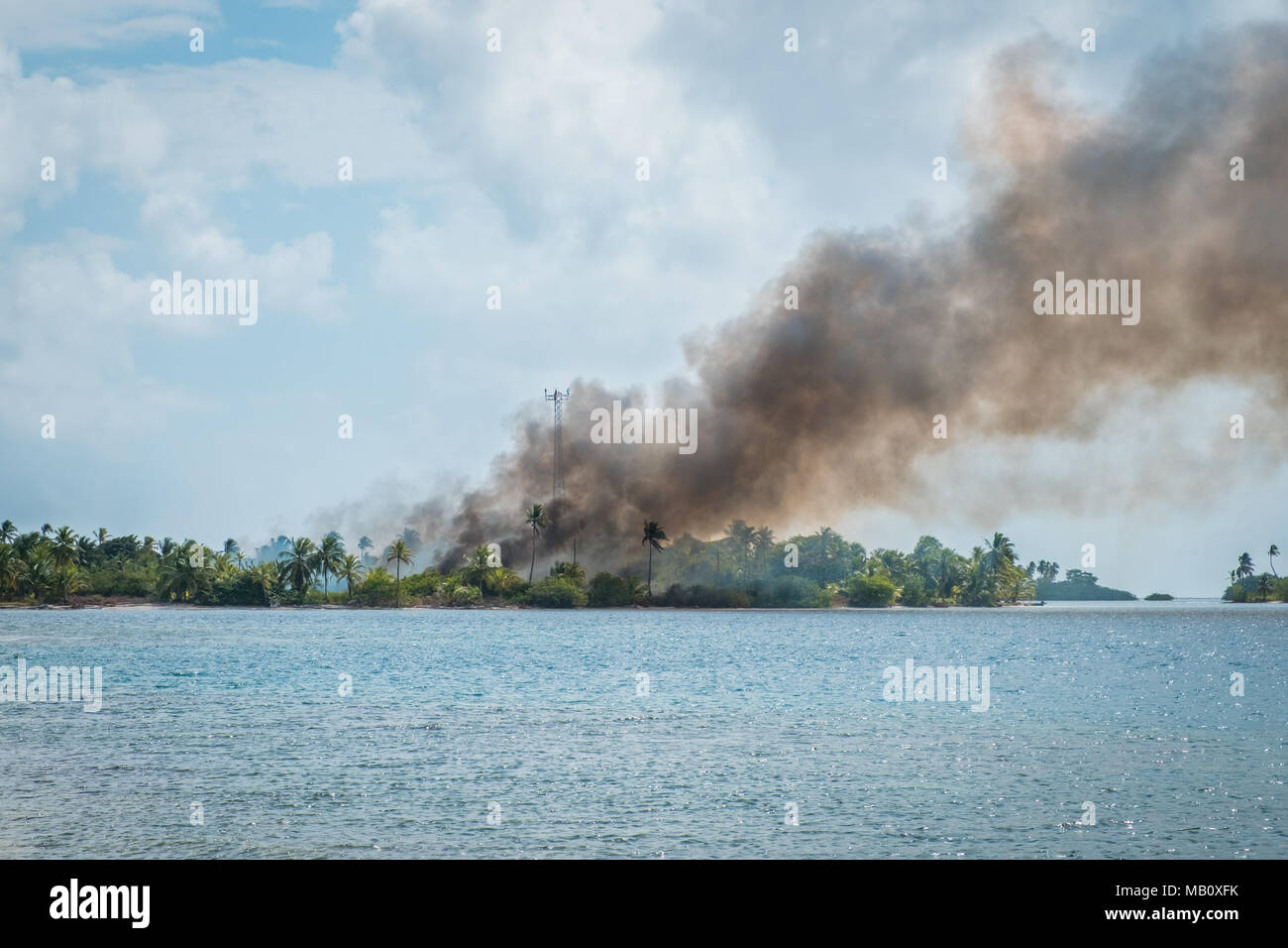 bushfire - thick smoke over palm tree forest on island - fire Stock ...