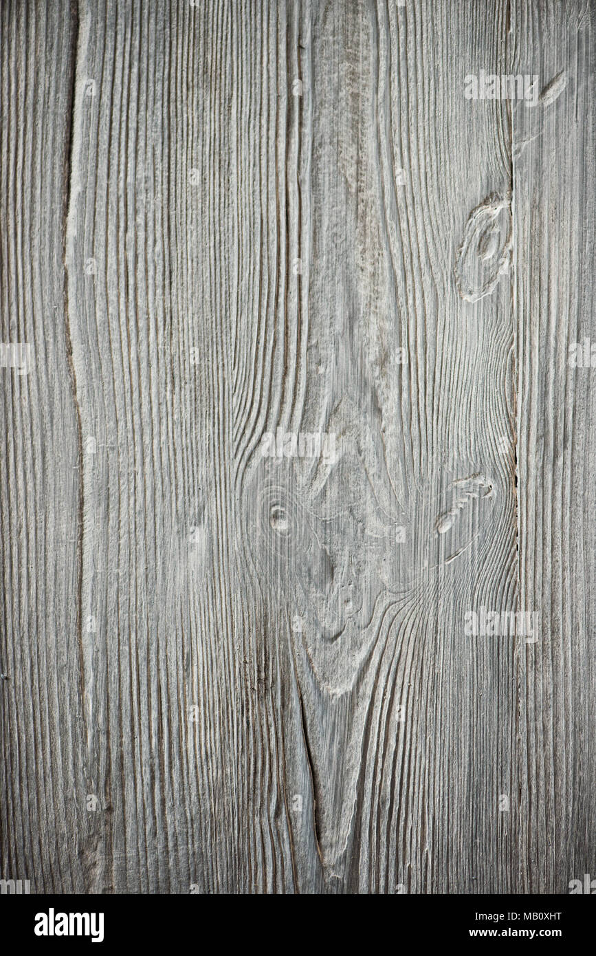 Wood texture. Gray timber board with weathered crack lines. Natural ...