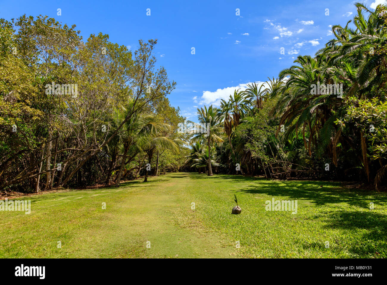 Fairchild tropical botanic garden in hi-res stock photography and ...