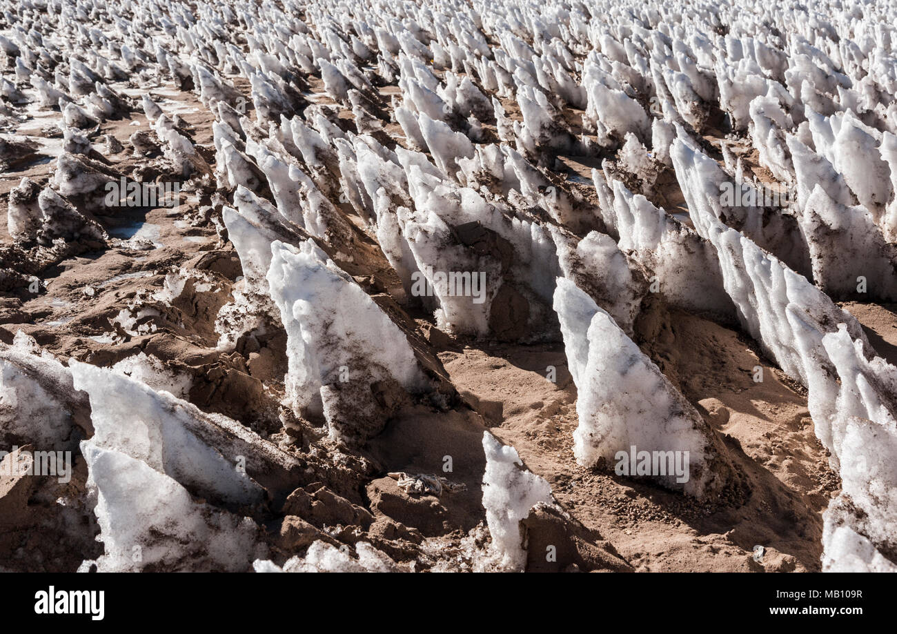 Ice formations in the Siloli desert of Bolivia near the Uyuni salt flat ...