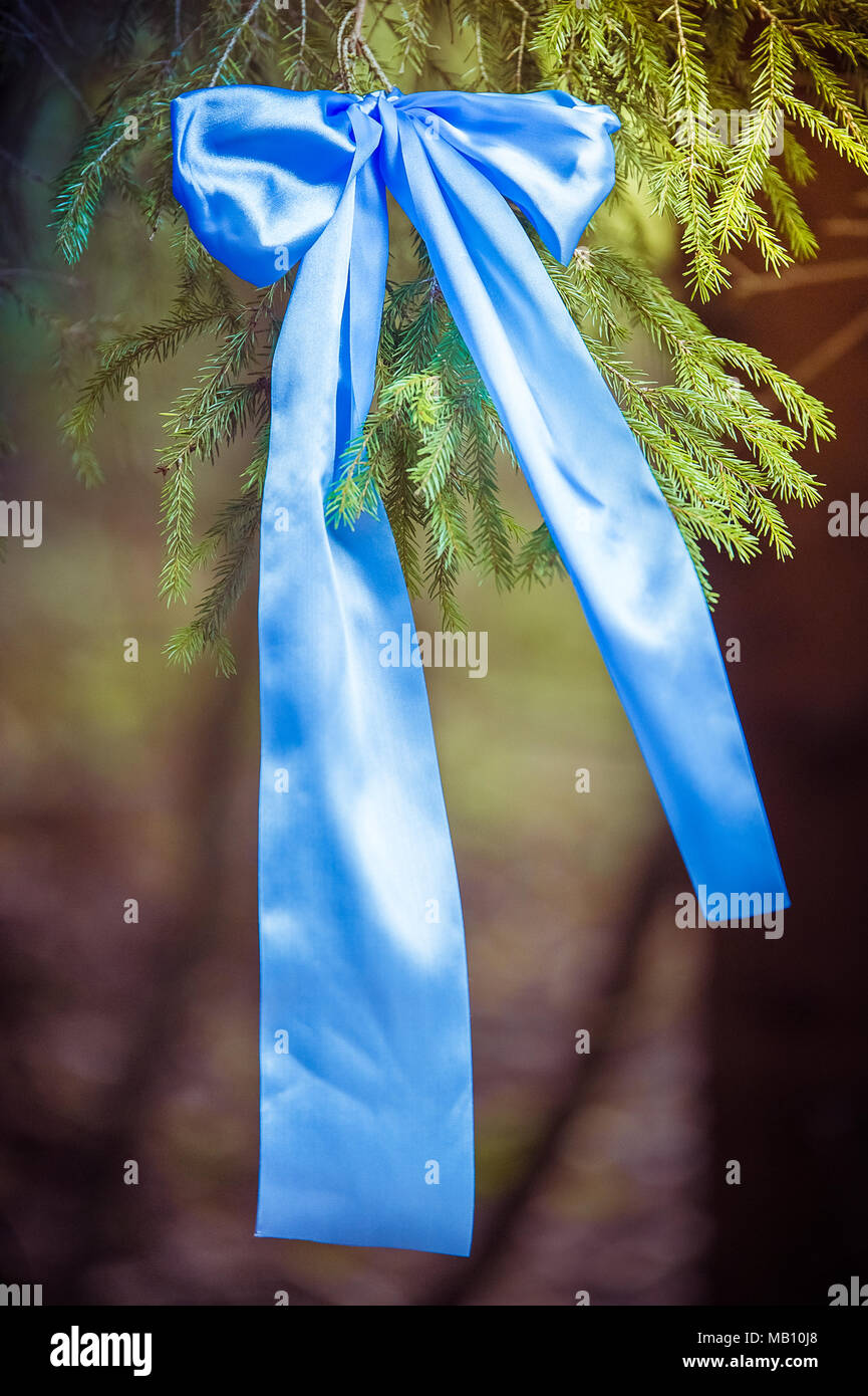 blue ribbon on a tree branch Stock Photo - Alamy