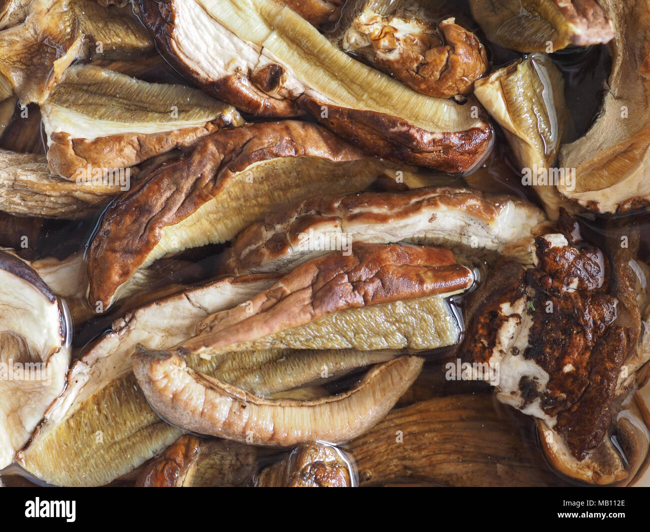boletus edulis aka penny bun or porcino or cep mushrooms food Stock ...