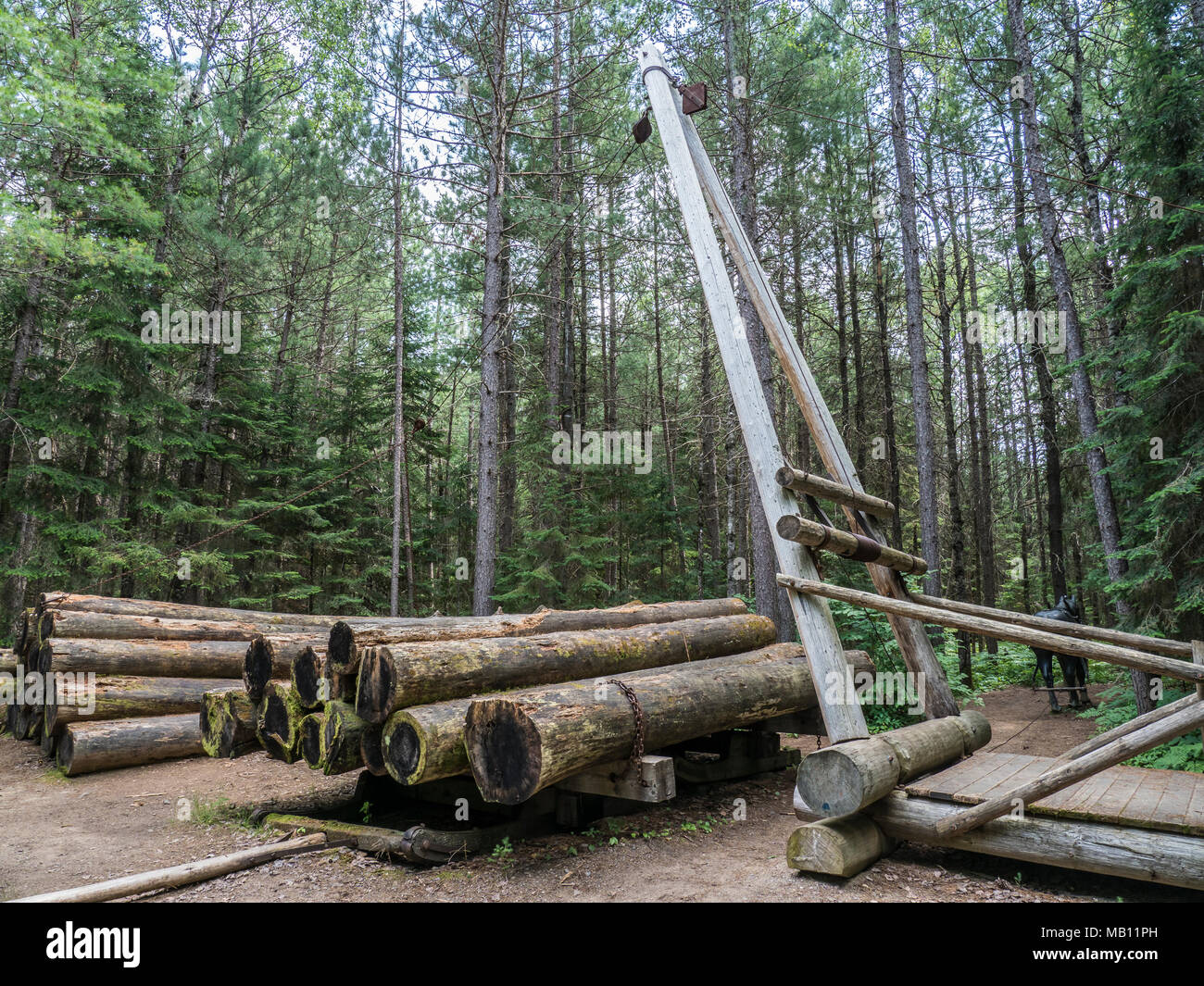 Logging Jammer High Resolution Stock Photography and Images - Alamy