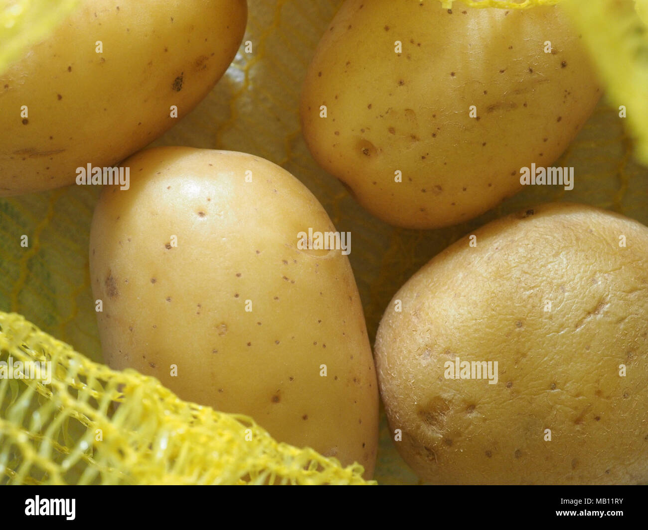 net sack of potatoes (Solanum tuberosum) vegetables vegetarian and ...