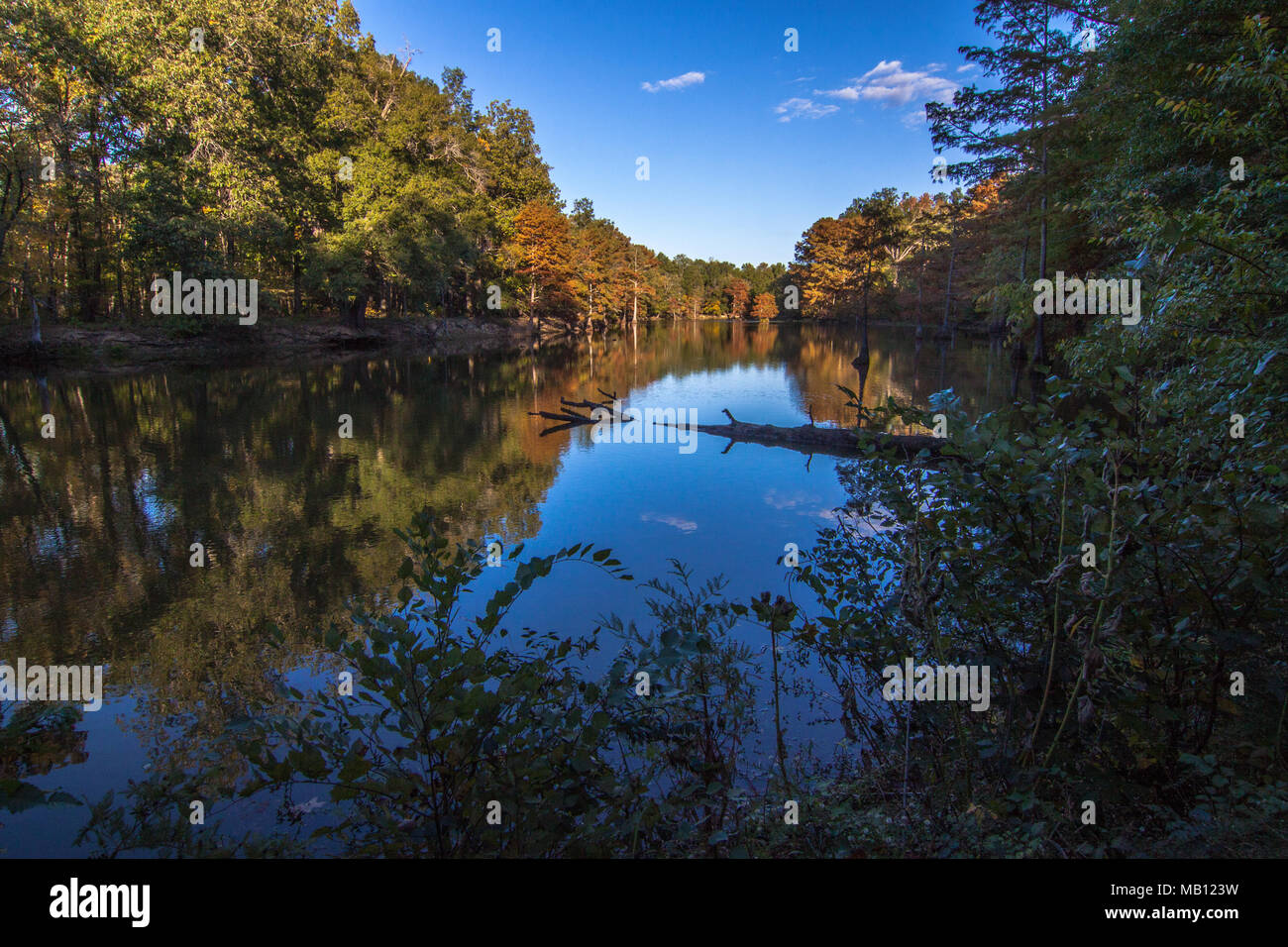 Mingo hi-res stock photography and images - Alamy