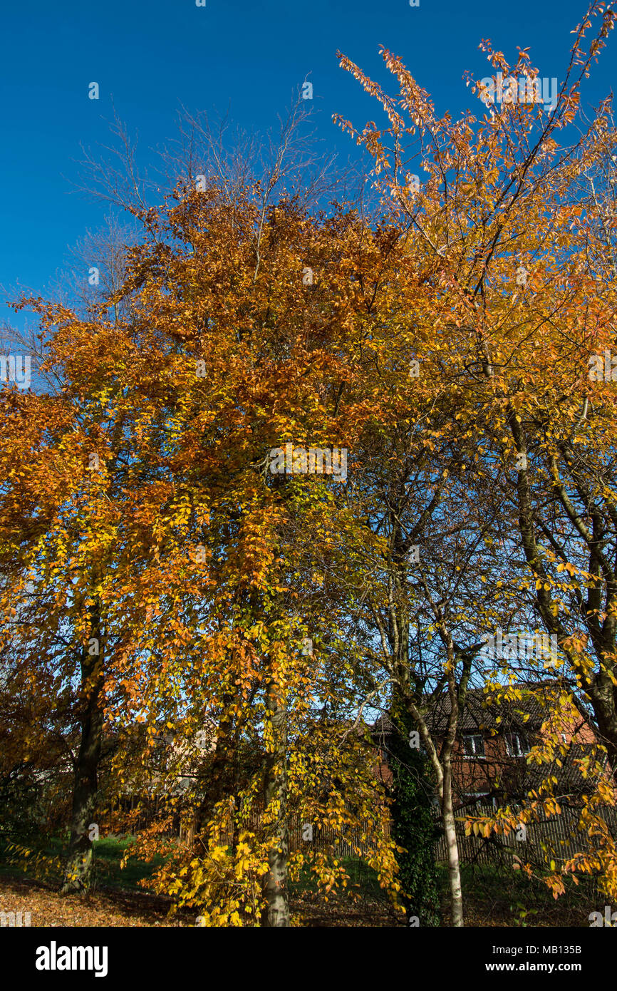 Harpole church hi-res stock photography and images - Alamy