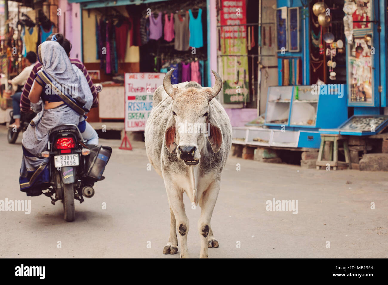 Walking freely hi-res stock photography and images - Alamy
