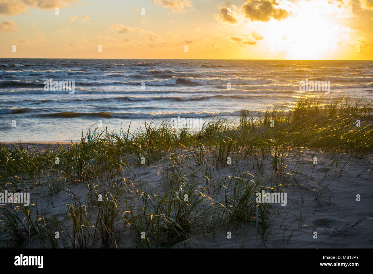 Sunset dunes in Palanga beach Stock Photo - Alamy