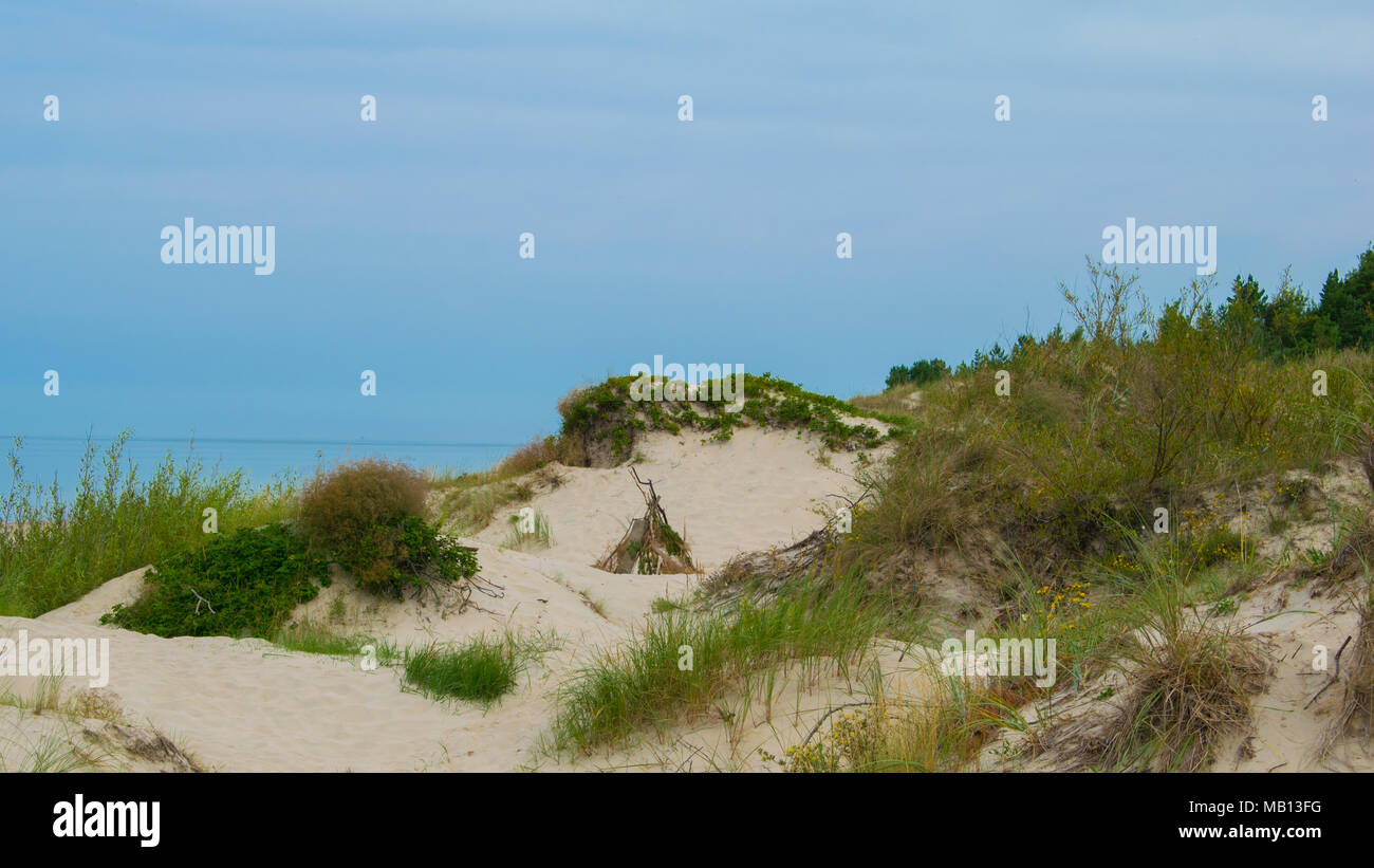 Dunes in Lithuania baltic sea shore Stock Photo - Alamy