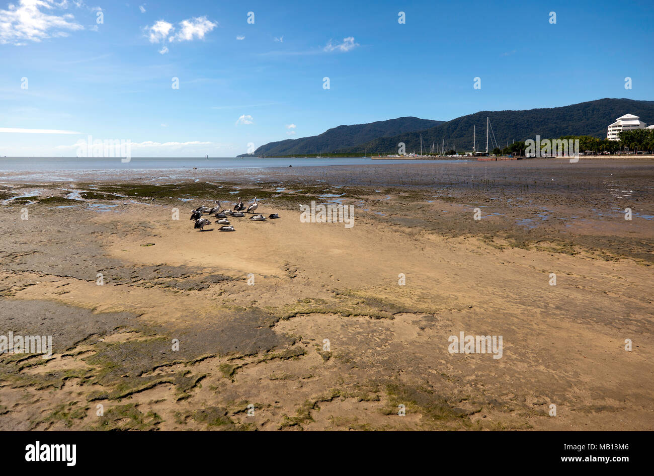 View of Trinity Bay, Looking towards Cairns Marina, Queensland ...