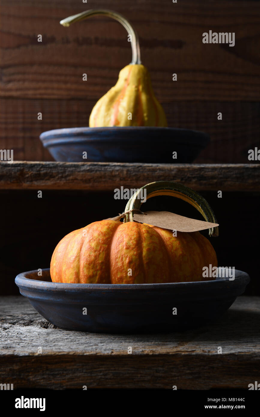 Closeup of a farm stand with Autumn a gourd, pumpkin on wooden rustic ...