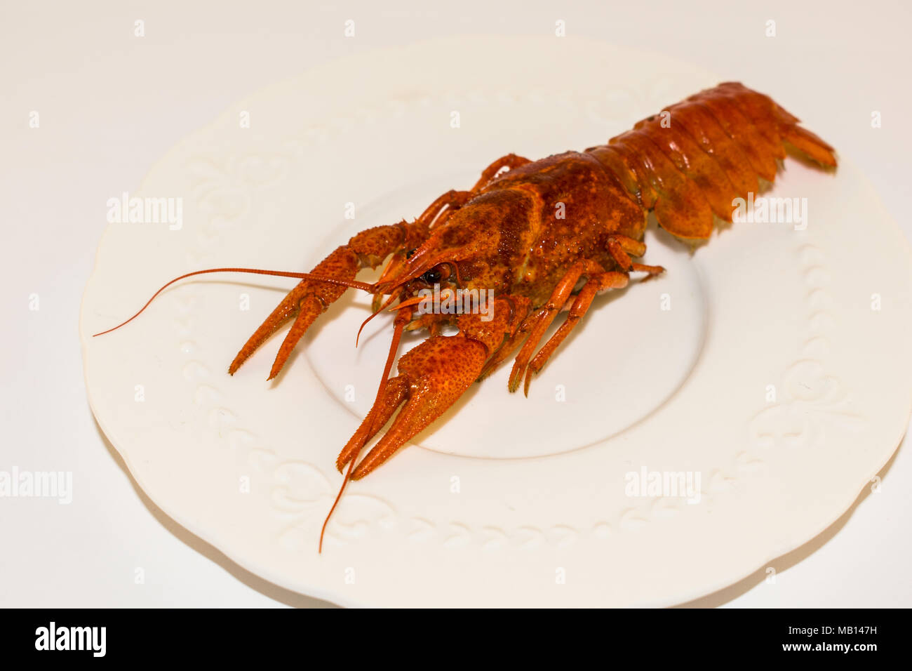 crayfish on the plate Stock Photo - Alamy