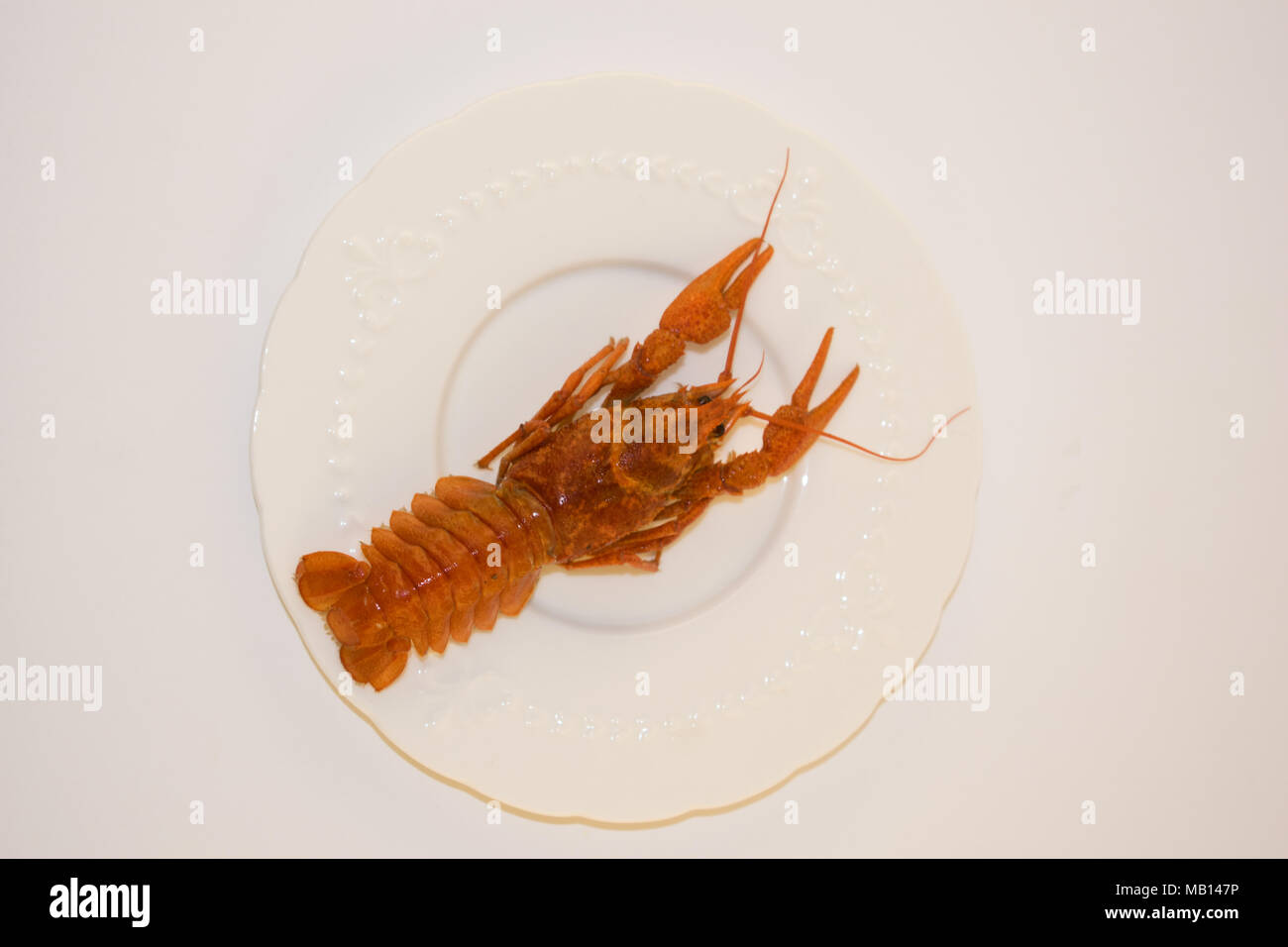 crayfish on the plate Stock Photo - Alamy