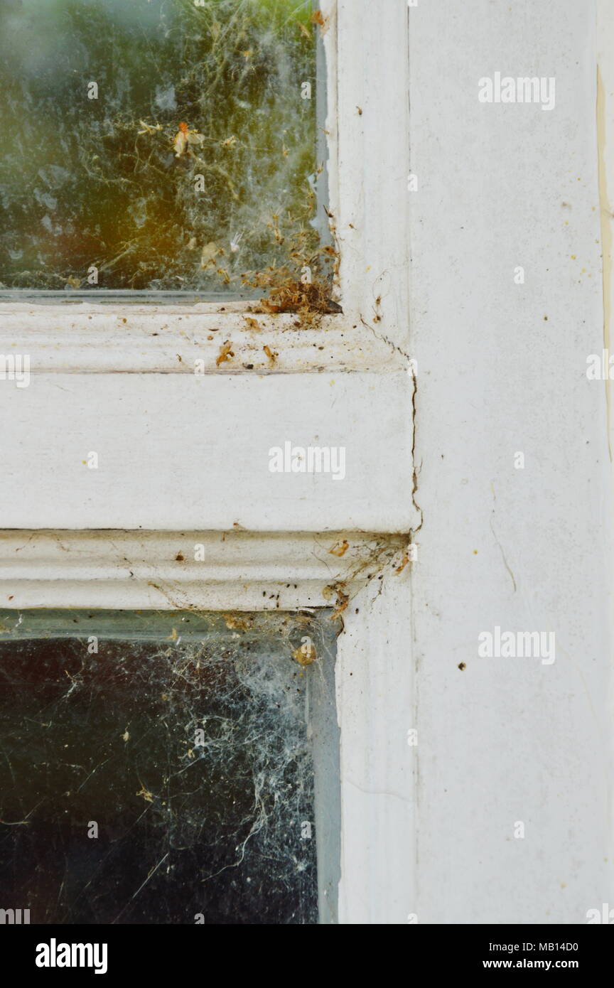 dust on window glass frame in home Stock Photo - Alamy