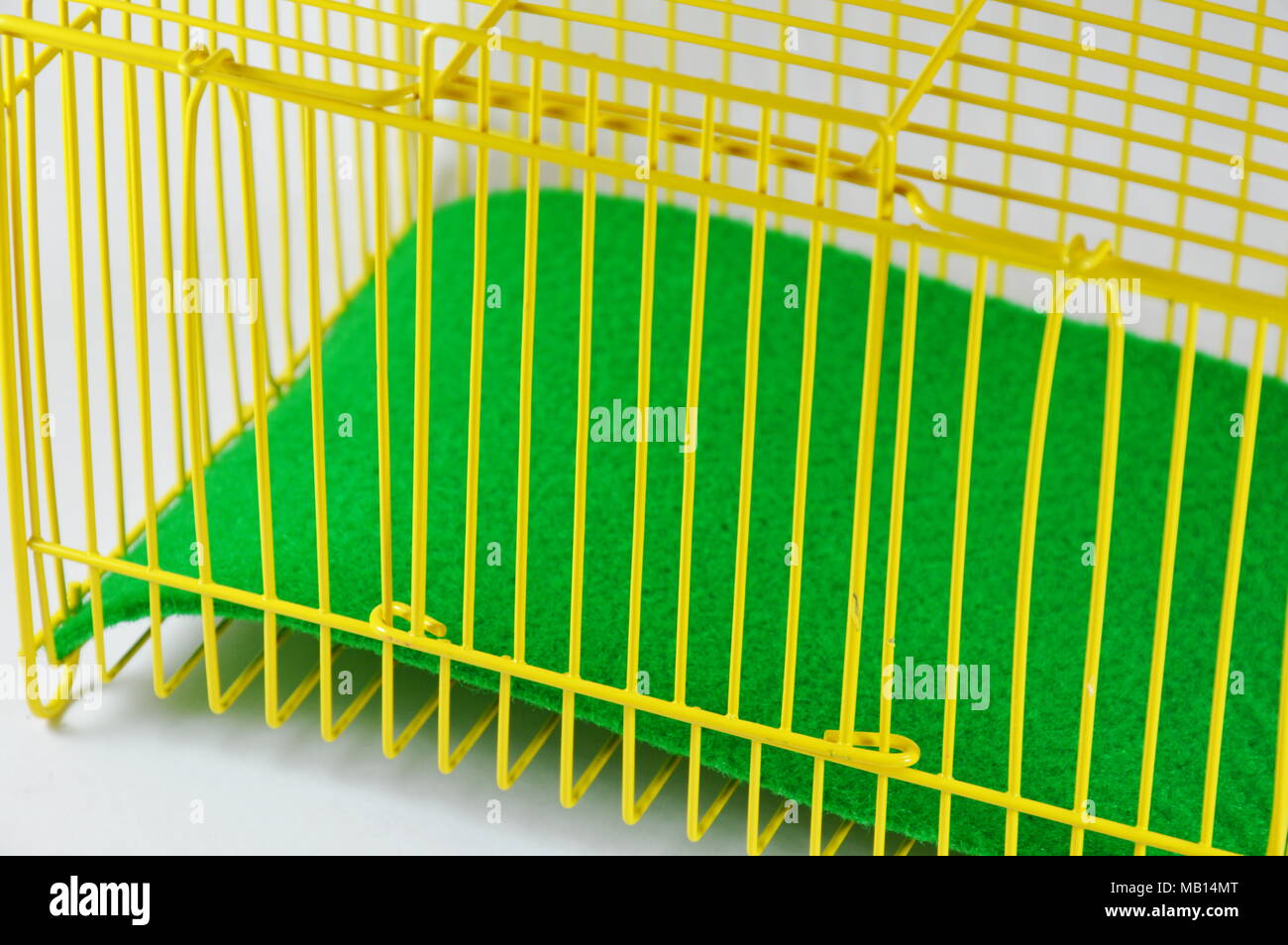 yellow cage and green sheet for tiny pet Stock Photo - Alamy