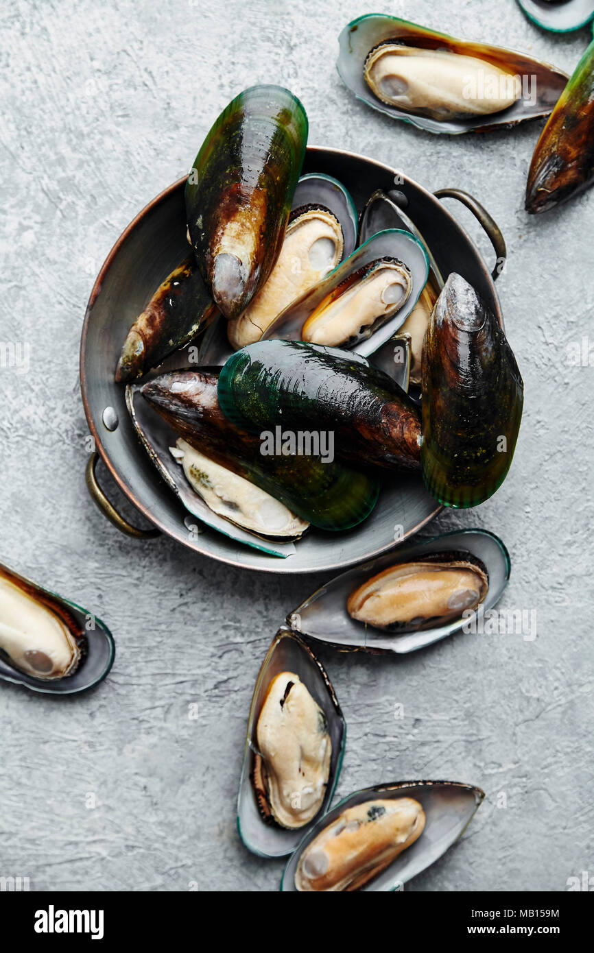 Raw kiwi mussels on textured light colored background Stock Photo - Alamy