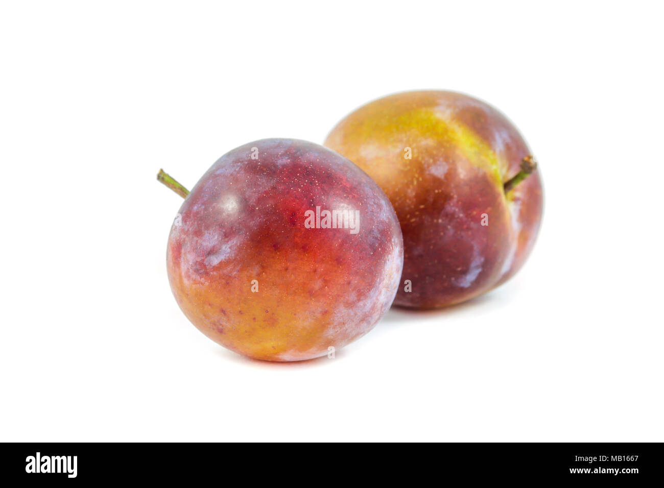 Two plums on isolated white background Stock Photo - Alamy