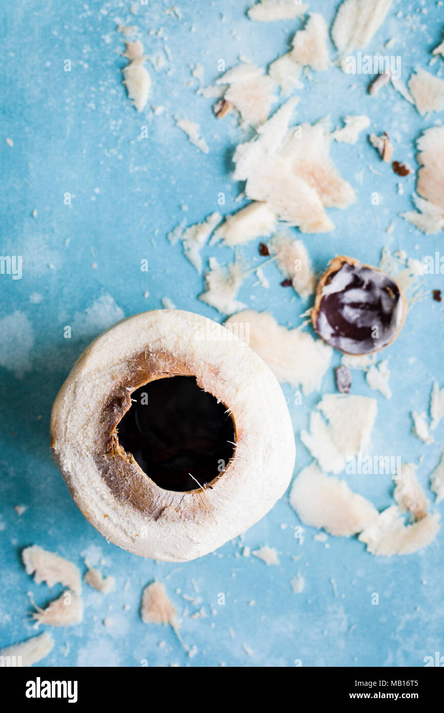 Fresh coconut on blue background Stock Photo - Alamy