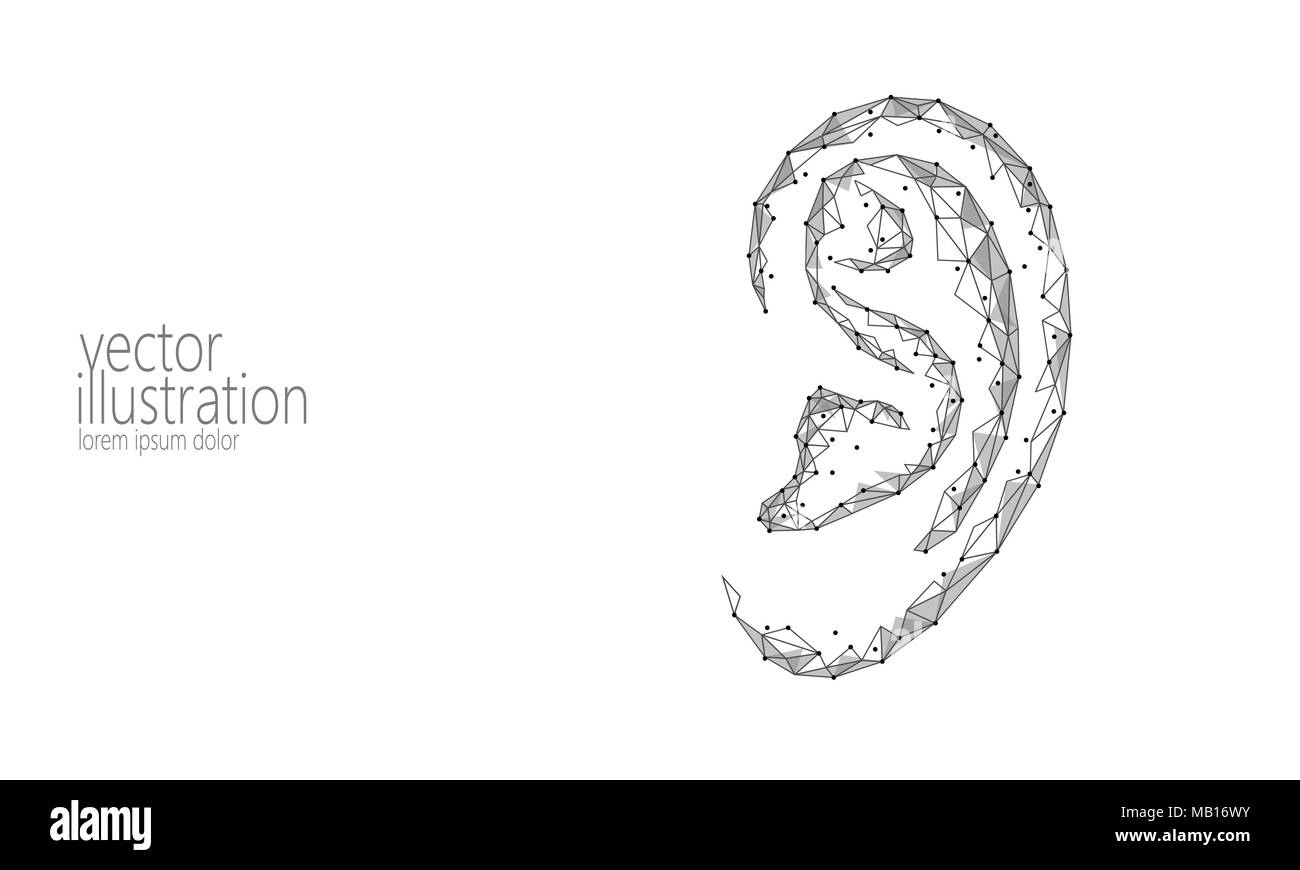 Triangle ear Black and White Stock Photos & Images - Alamy