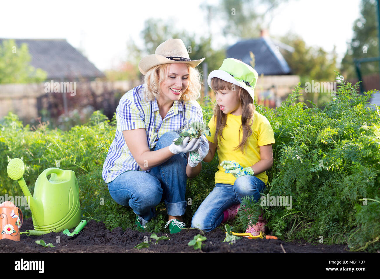 Gardening, planting - mother with child plant strawberry seedlings into ...
