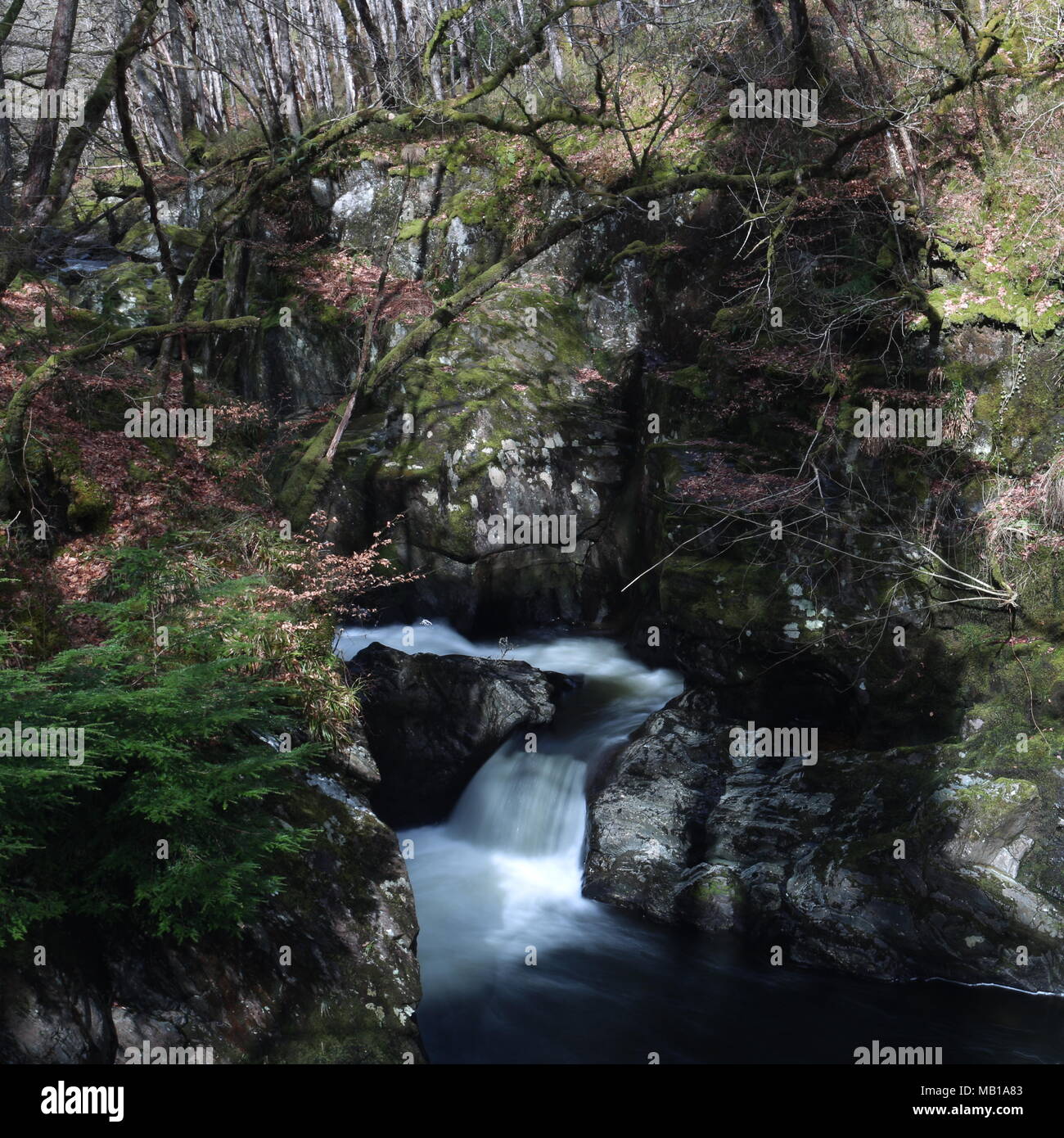 Wee caldron hi-res stock photography and images - Alamy