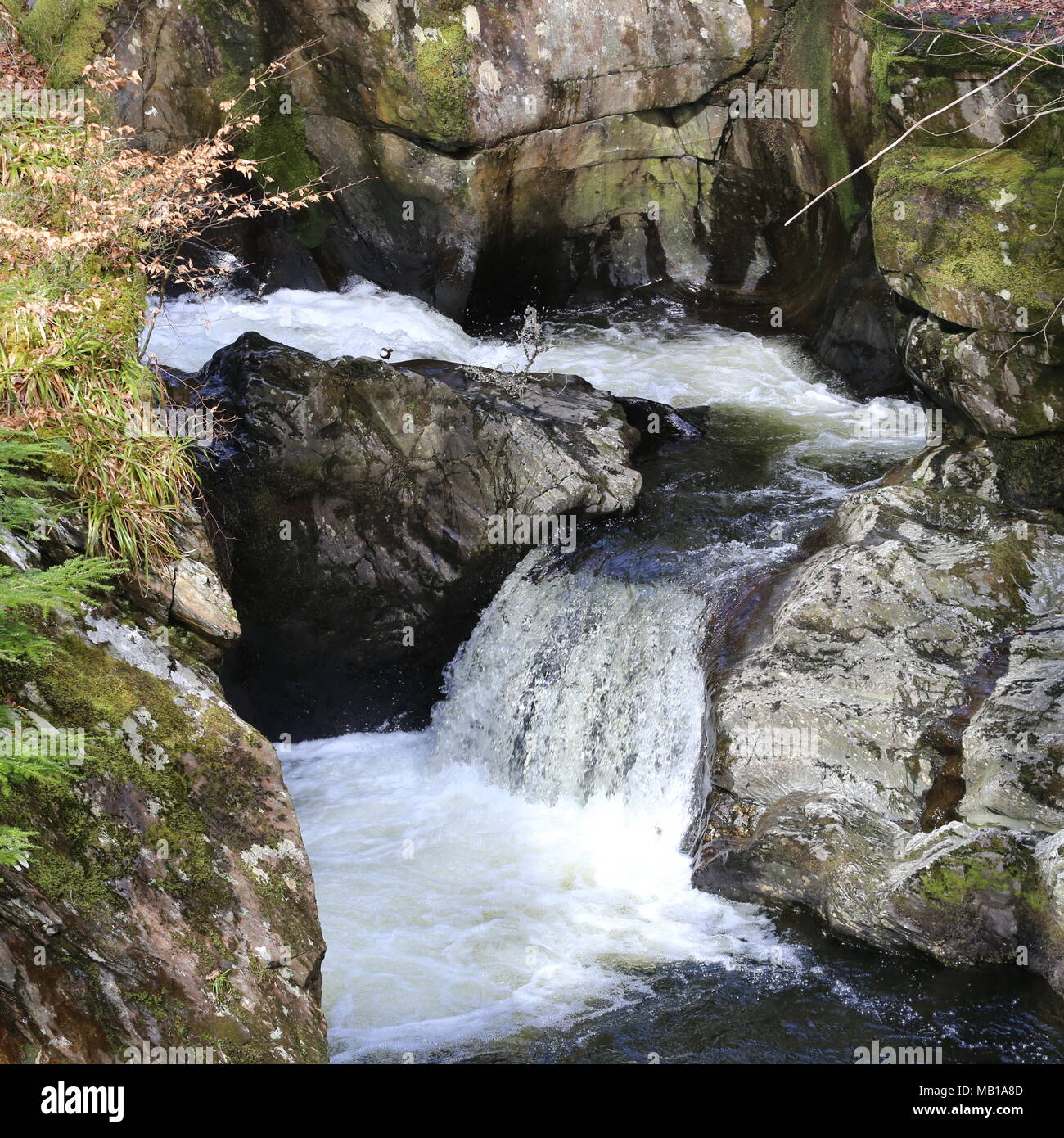 River lednock hi-res stock photography and images - Alamy