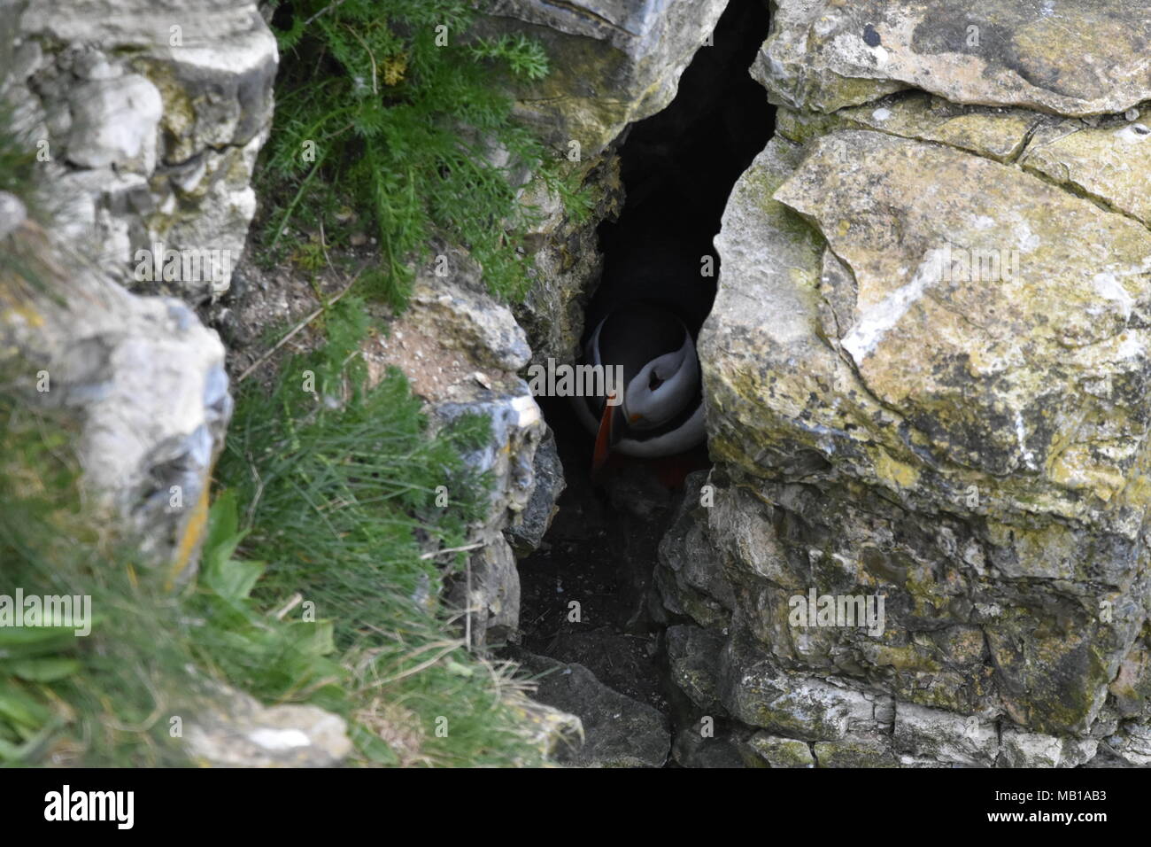 Blacked hole hi-res stock photography and images - Alamy
