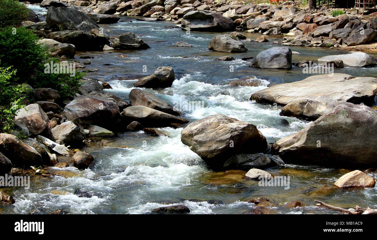 A river in western North Carolina Stock Photo - Alamy