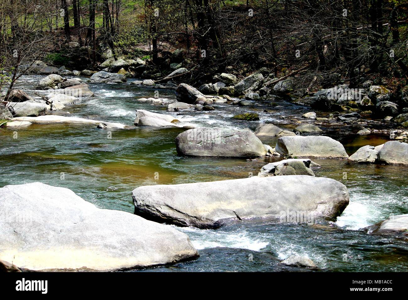 A river in western North Carolina Stock Photo - Alamy
