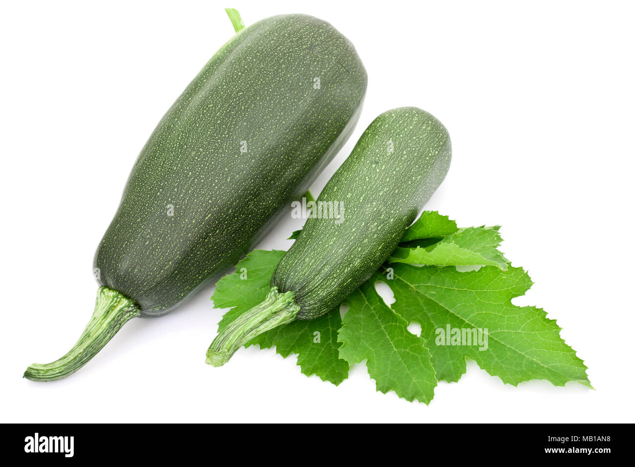 Courgette growing Cut Out Stock Images & Pictures - Alamy
