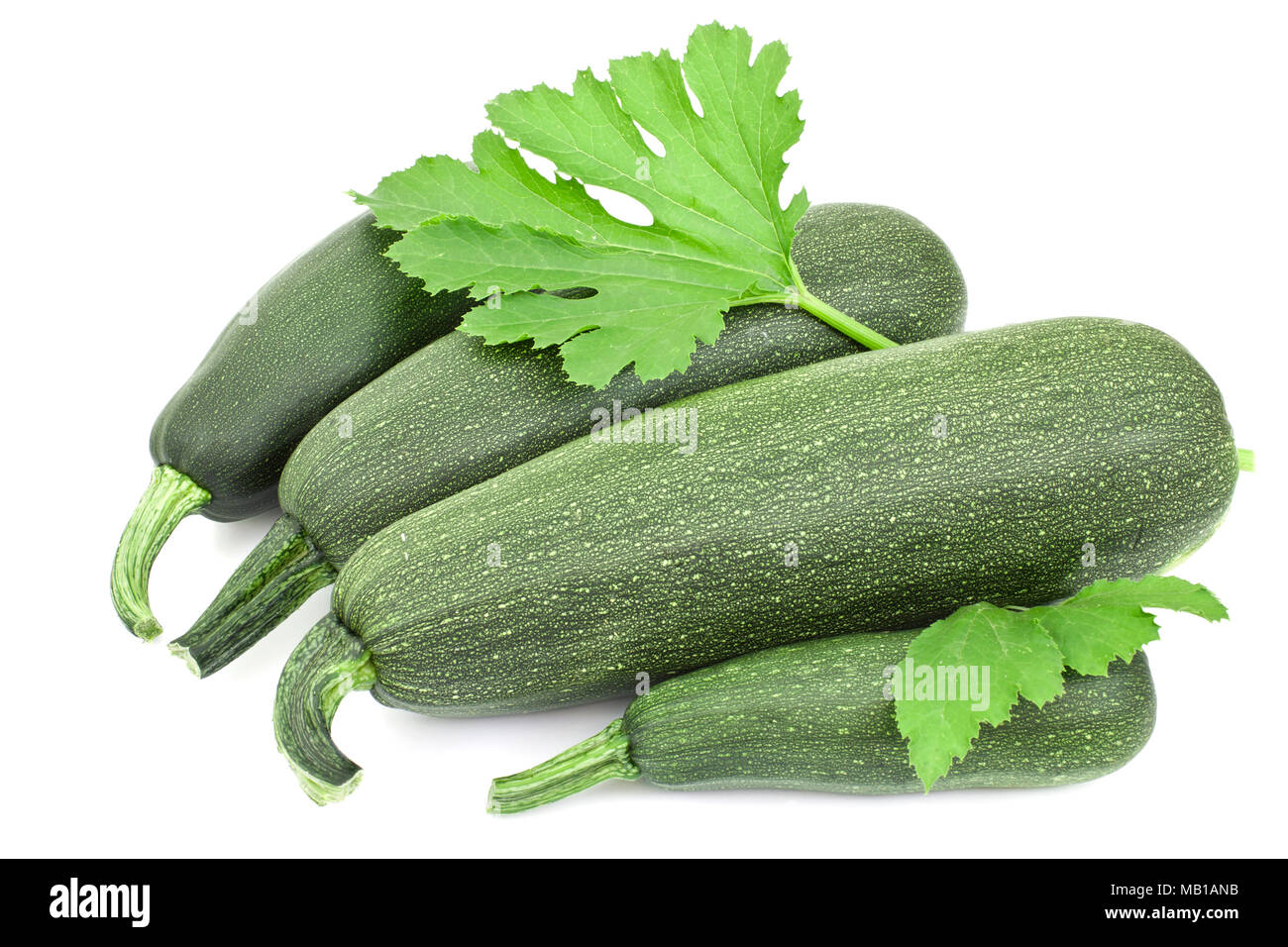 Courgette growing Cut Out Stock Images & Pictures - Alamy