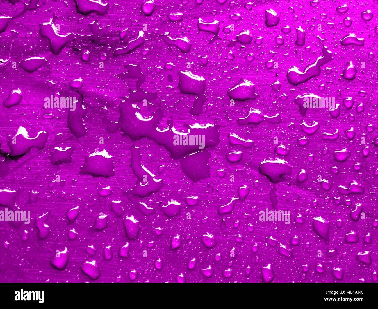 Fuchsia texture hi-res stock photography and images - Alamy
