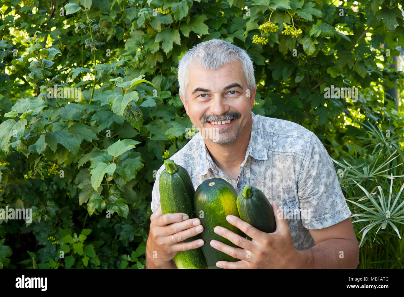 Satisfied man with three zucchini in garden Stock Photo - Alamy