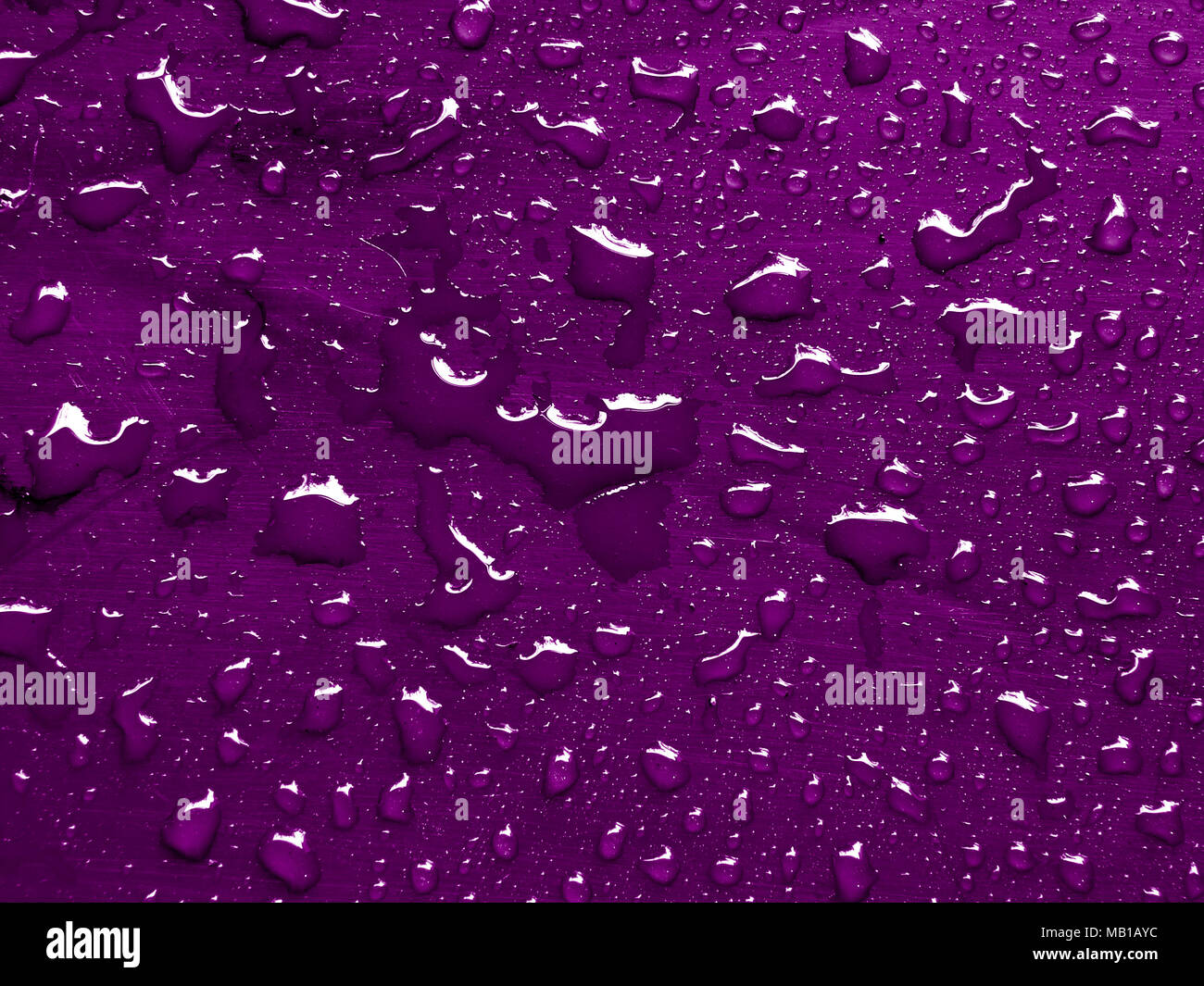 water drops on purple metallic surface Stock Photo - Alamy