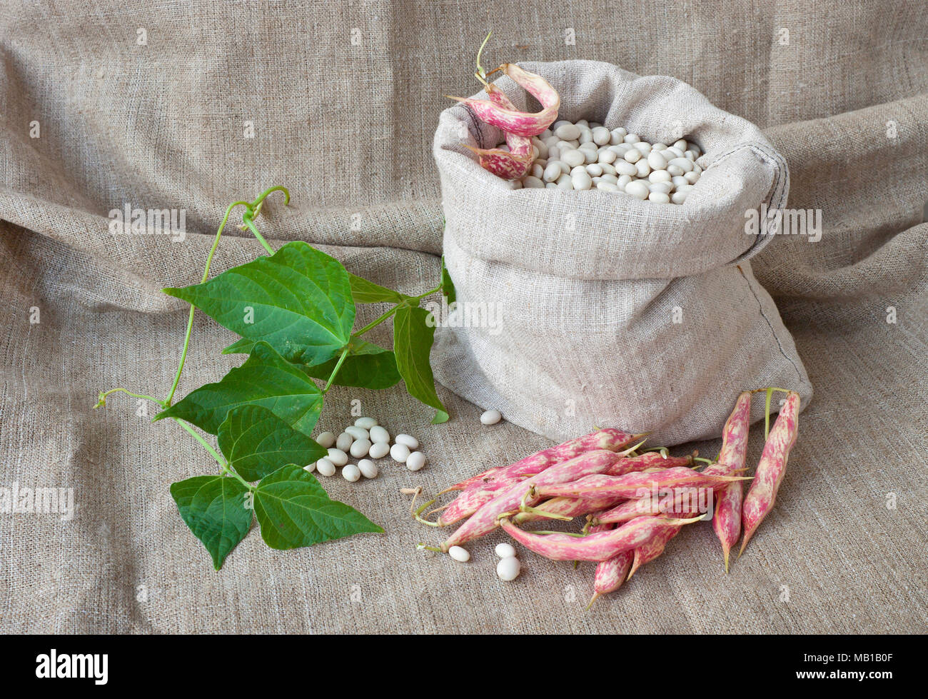 Sac of corn beans hi-res stock photography and images - Alamy