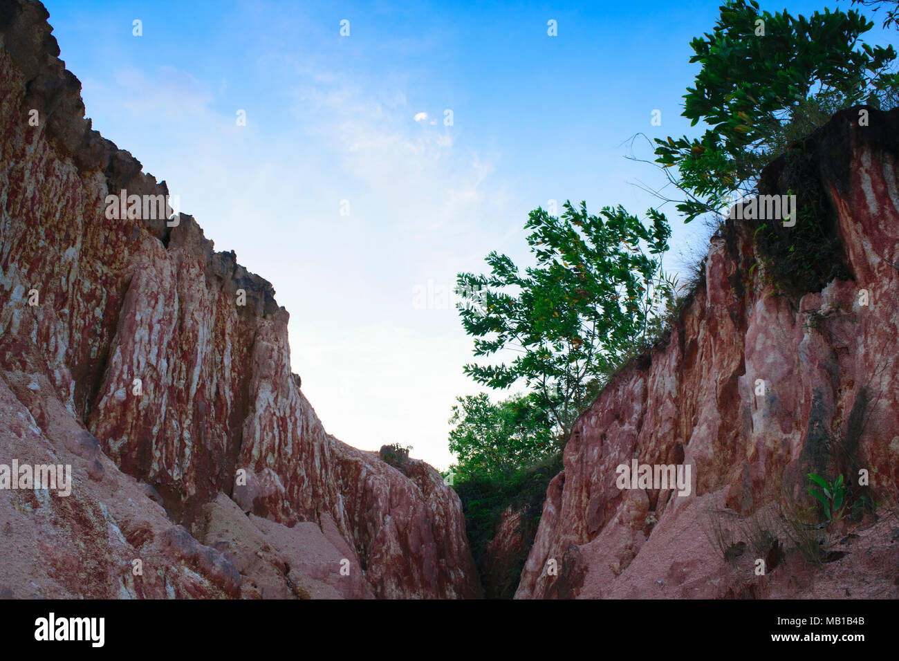 Texture exploration hi-res stock photography and images - Alamy