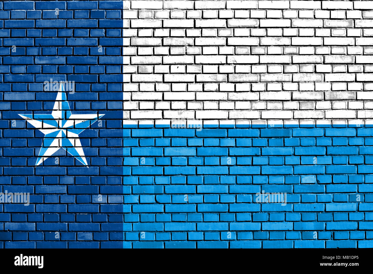 Painted texas flag hi-res stock photography and images - Alamy