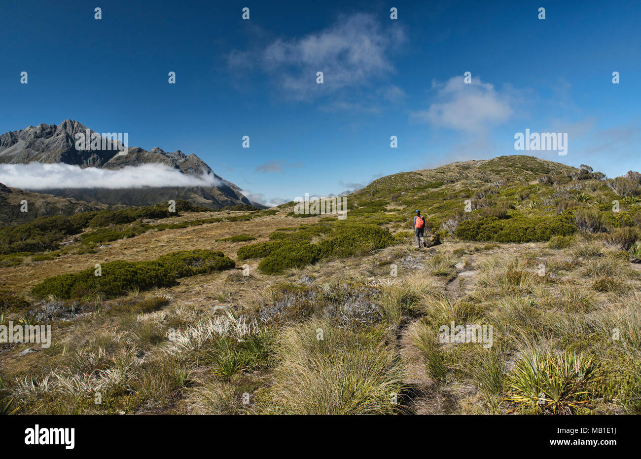 Hiking along the Key Summit ridge off the Routeburn Track, Fjordland ...