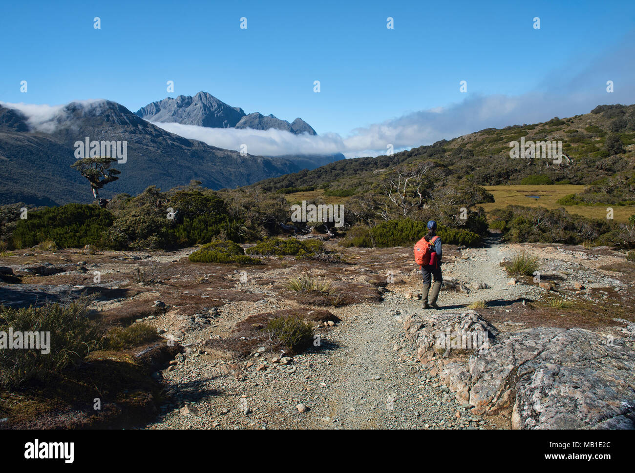 Hiking along the Key Summit ridge off the Routeburn Track, Fjordland ...
