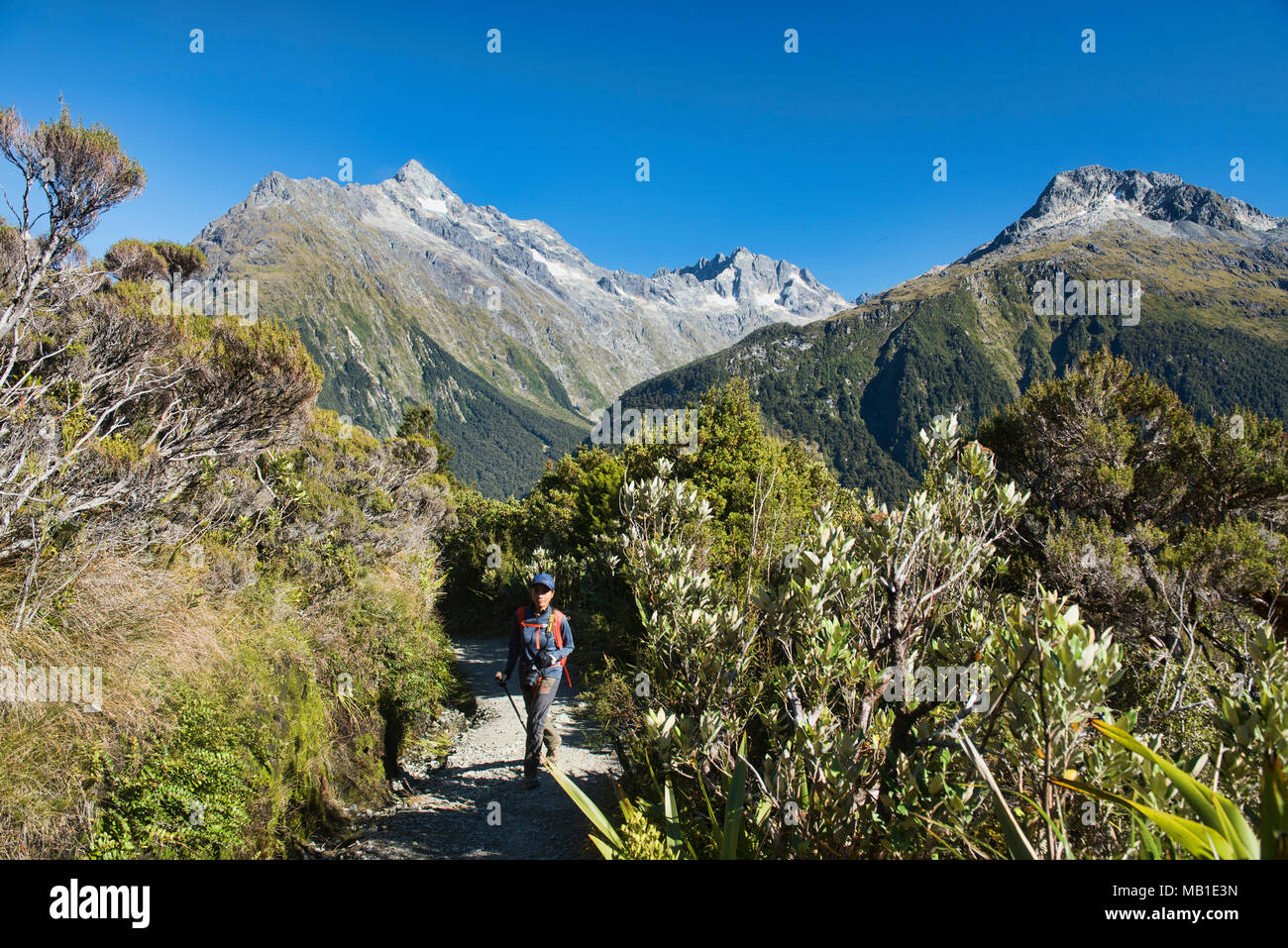 Hiking along the Key Summit ridge off the Routeburn Track, Fjordland ...