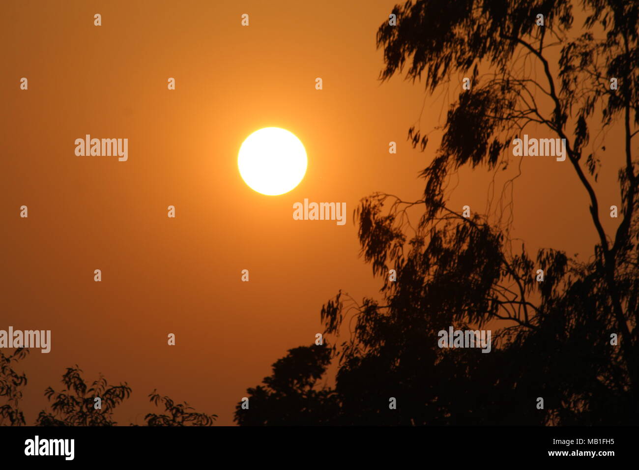 Beauty of the sun hi-res stock photography and images - Alamy
