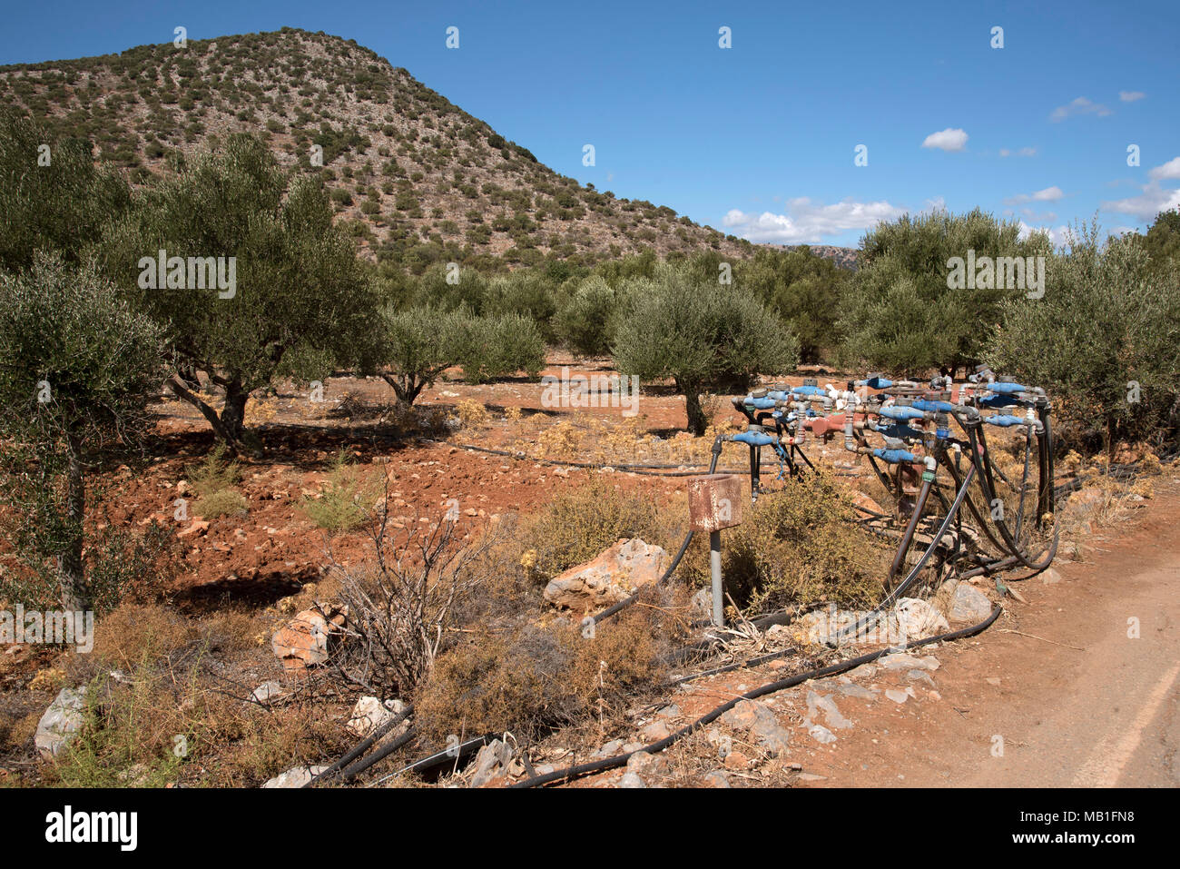 Krista crete hi-res stock photography and images - Alamy