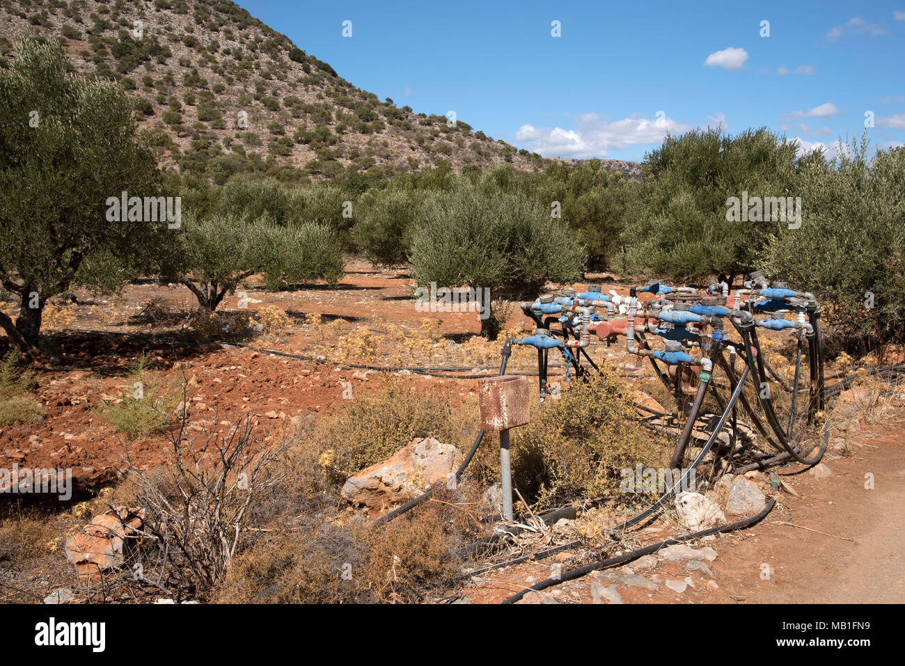Krista crete hi-res stock photography and images - Alamy