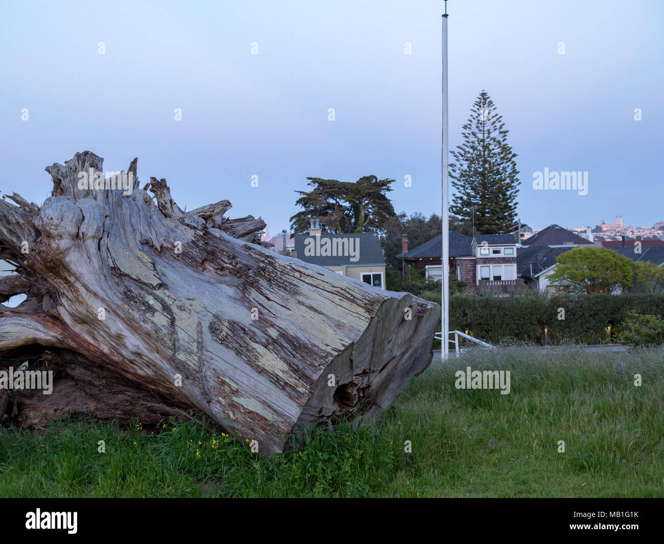 Broken down tree hi-res stock photography and images - Alamy