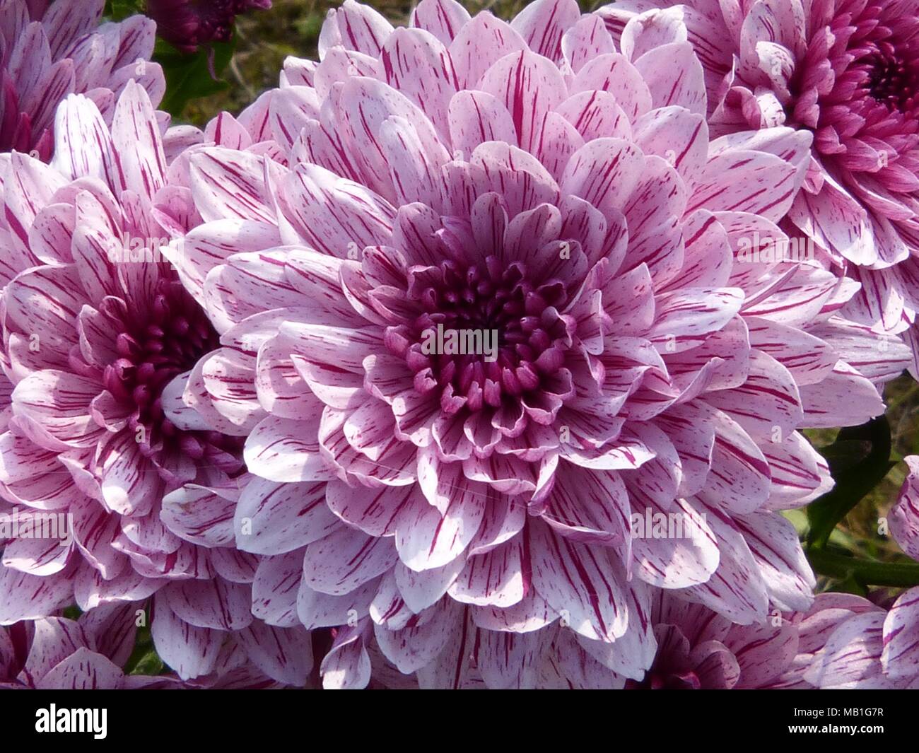 Time images hi-res stock photography and images - Alamy